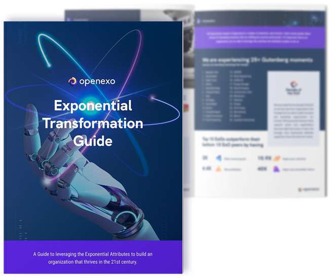 Exponential Transformation Guide – OpenExO